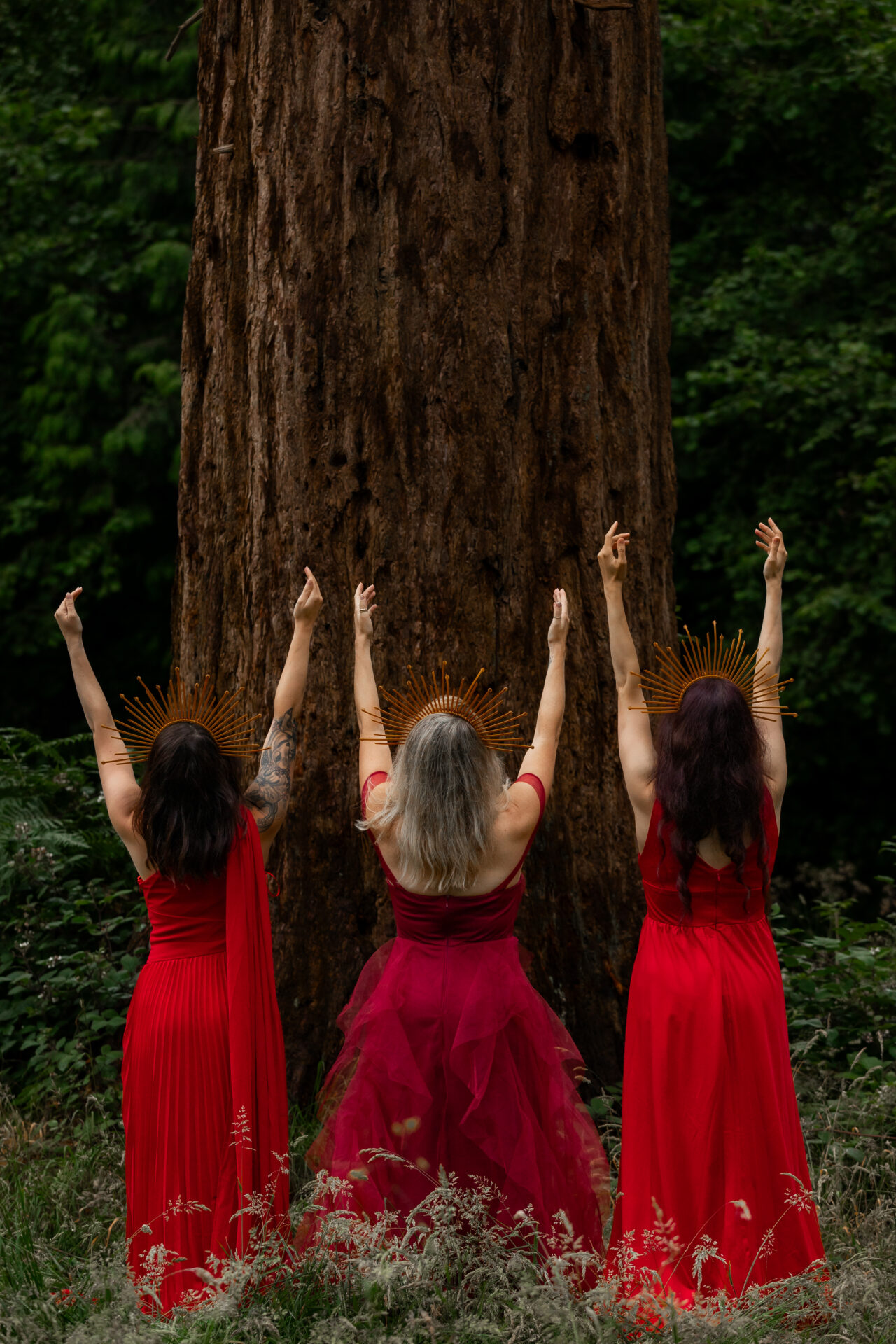 About Us - Wanderess